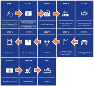 Processing – Gendev Fishing Group